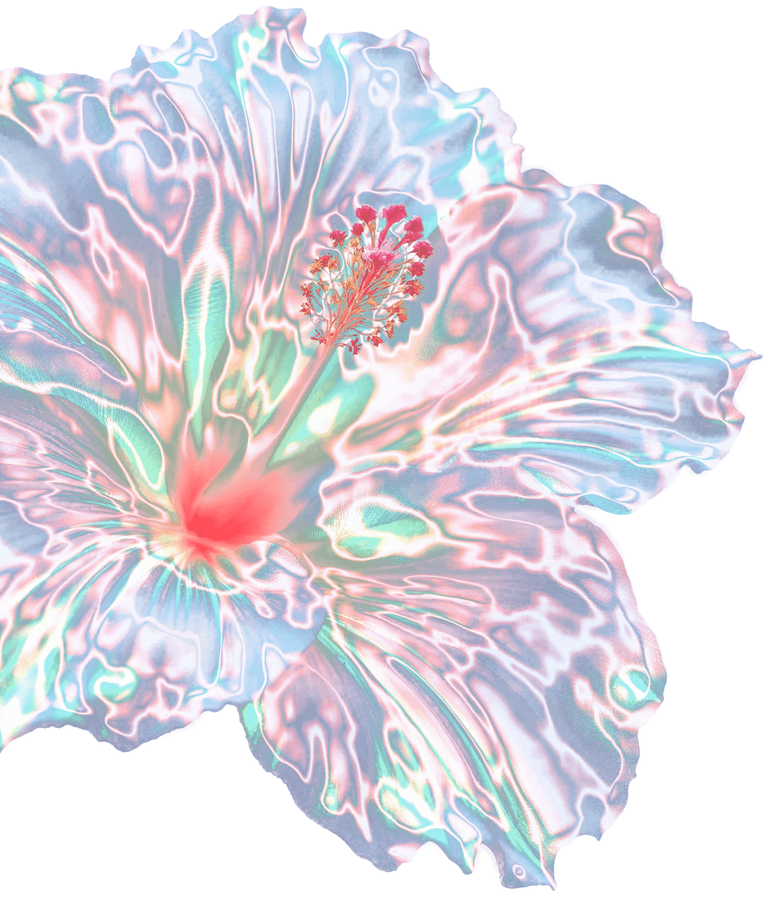 สงกรานต์เที่ยวไหนดี ปีนี้ต้อง Songkran RCA Summerland Water Fest 2025